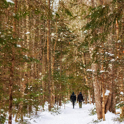 Edition 147: Prince Edward Island, Canada | The Discoverer